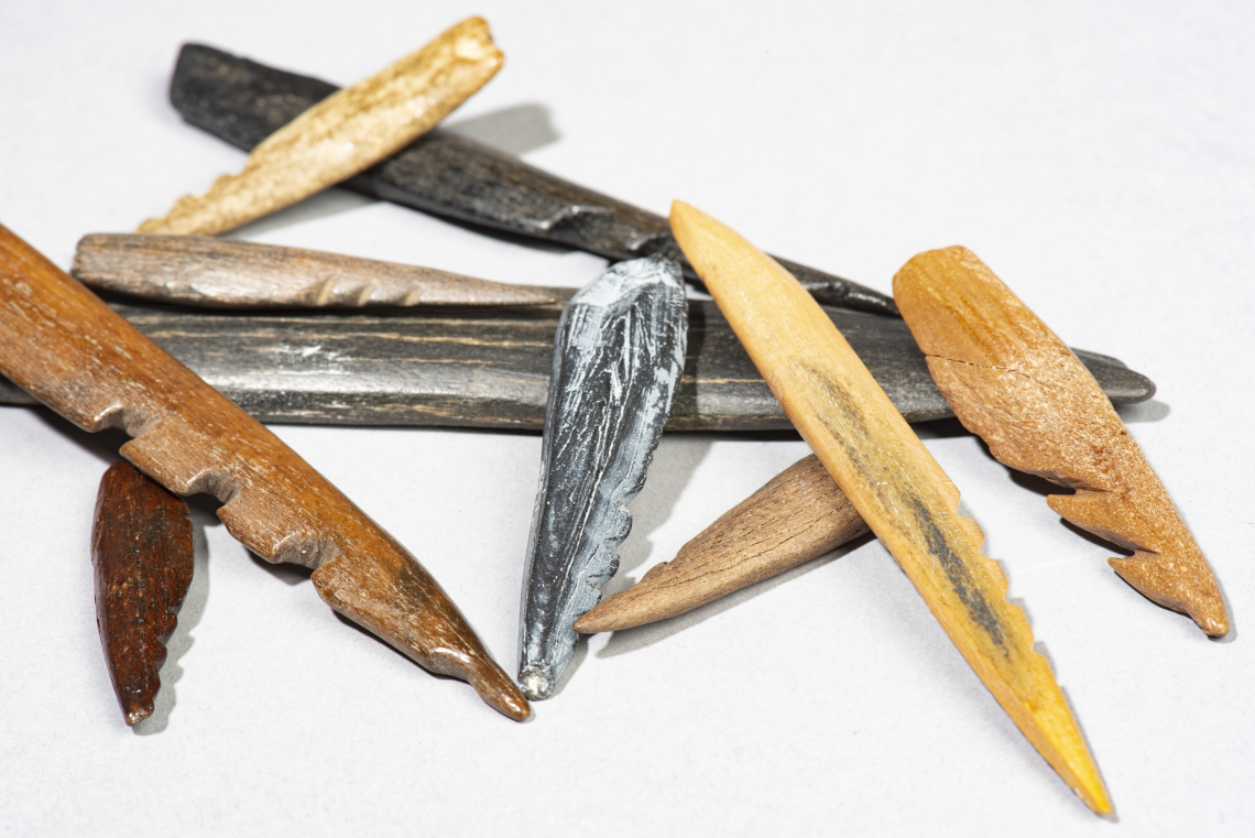 Tentoonstelling Doggerland | Zwin Natuur Park