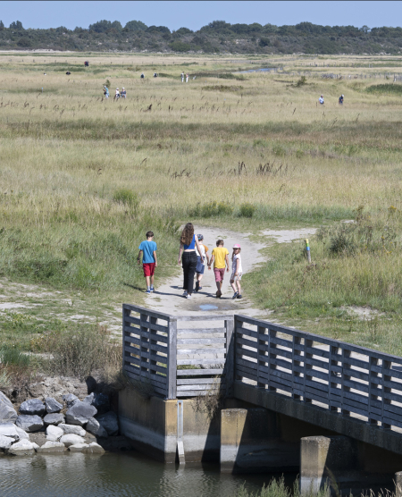 Les promenades dans la plaine du Zwin | Zwin Natuur Park
