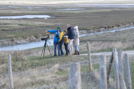 Découvrir le parc | Zwin Natuur Park